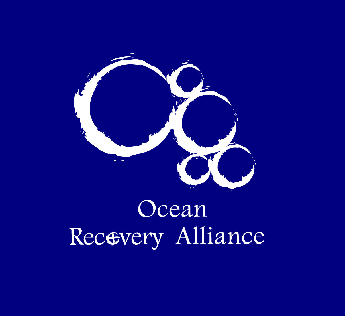 Our Partnership with the Ocean Recovery Alliance | Sea – Sunken Paradise